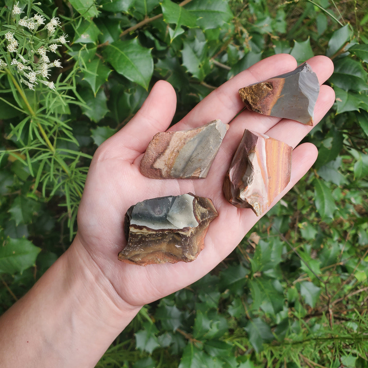 Raw Polychrome Jasper
